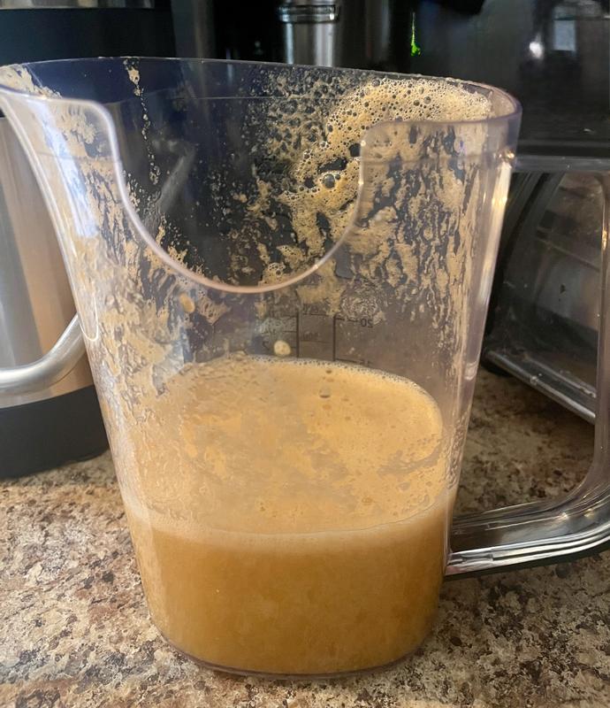 Hamilton Beach Professional 34-oz Juice Extractor with Removable Pulp ...