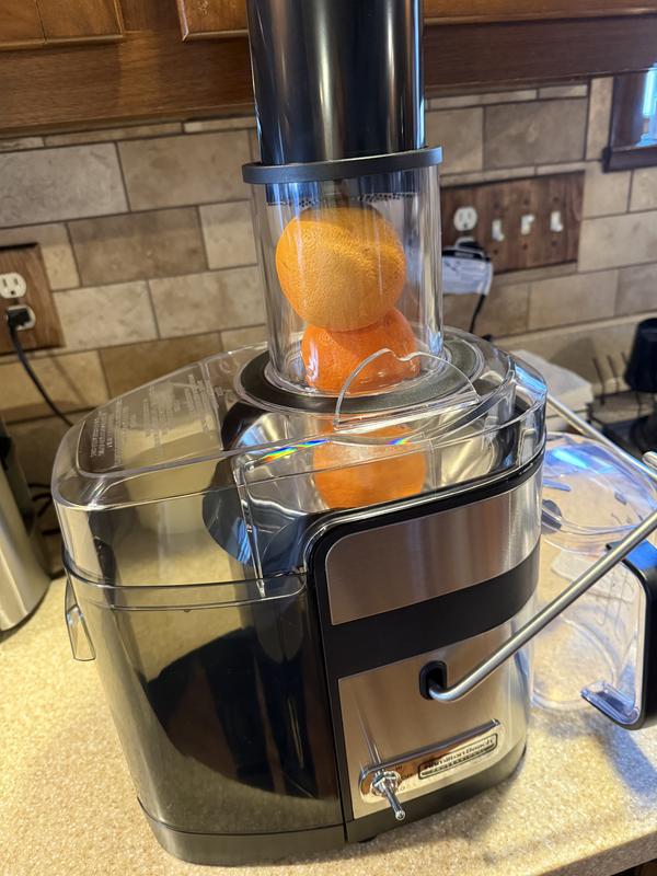 Hamilton Beach Professional 34-oz Juice Extractor with Removable Pulp ...