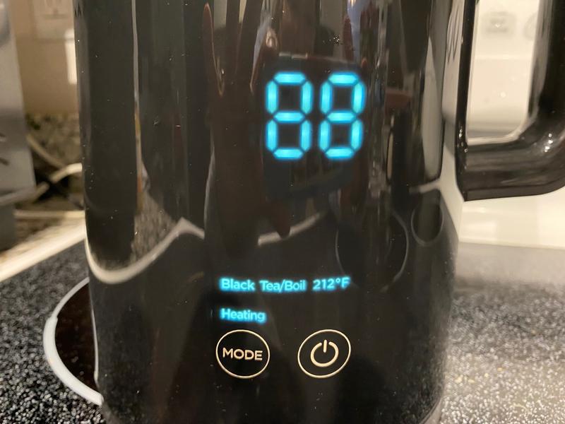 Hamilton Beach Black 5-Cup Cordless Electric Kettle with Automatic Shut ...