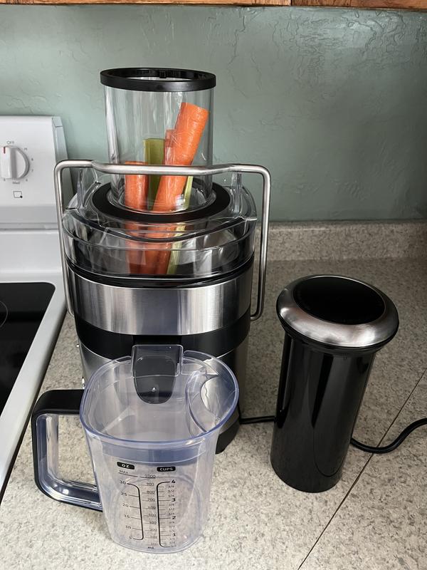 Hamilton Beach Professional 34-oz Juice Extractor with Removable Pulp ...
