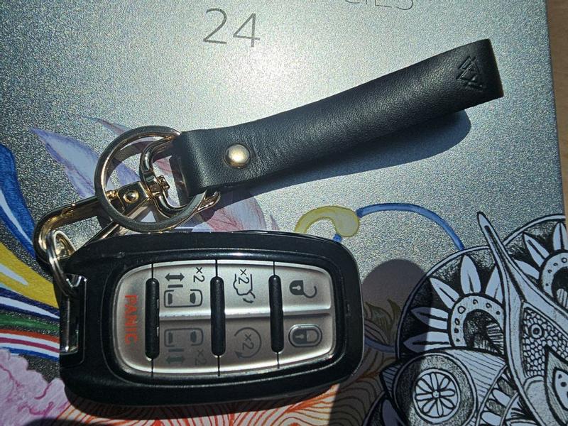 Sanitas by Minute Key Brown Keychain in the Key Accessories department ...