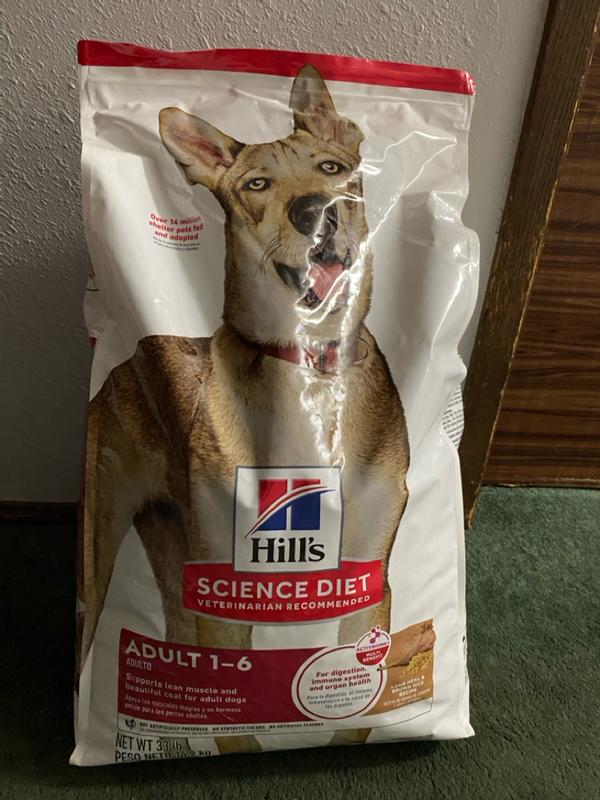 Hill's Science Diet Adult Lamb Meal & Brown Rice Recipe Dry Dog Food at ...