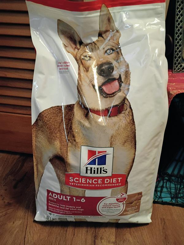 Hill's Science Diet Adult Lamb Meal & Brown Rice Recipe Dry Dog Food at ...