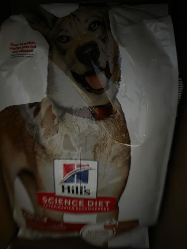 Hill's Science Diet Adult Lamb Meal & Brown Rice Recipe Dry Dog Food at ...