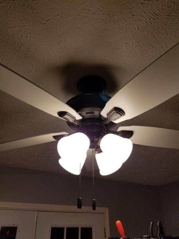 Hunter Regalia Ceiling Fan Review | Shelly Lighting