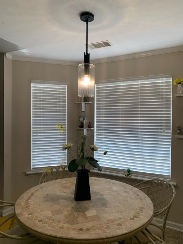 Hunter Gatz Brushed Nickel Modern/Contemporary Ribbed Glass Cylinder ...