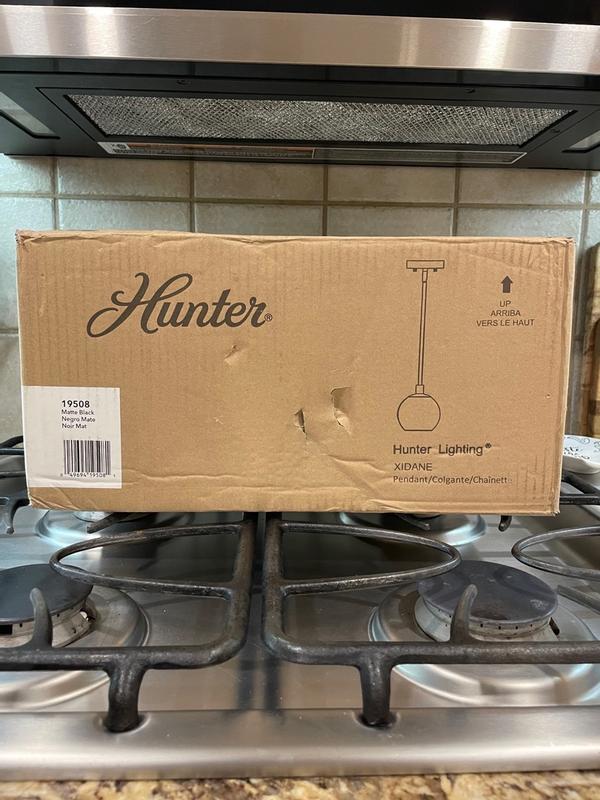 Hunter Xidane Matte Black with Clear Glass 1 Light Mini Pendant Ceiling ...
