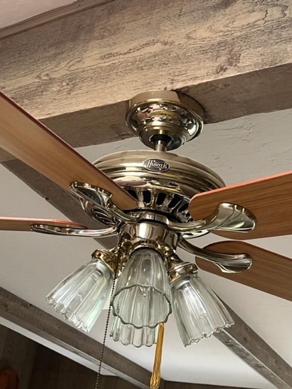 Hunter Ceiling Fan Replace Switch | Shelly Lighting
