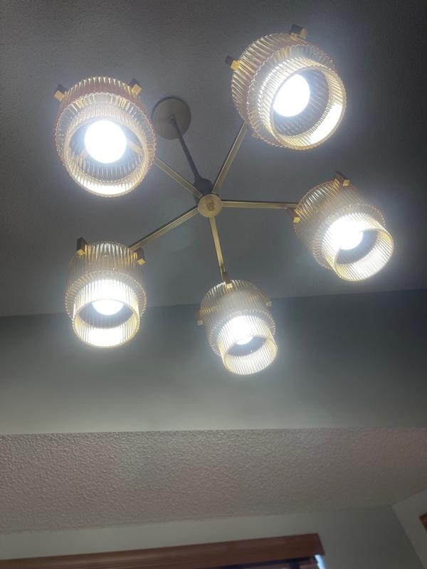 Hunter Jasmine Roth Ontario 5 -Light Matte Black Metal Chandelier in ...