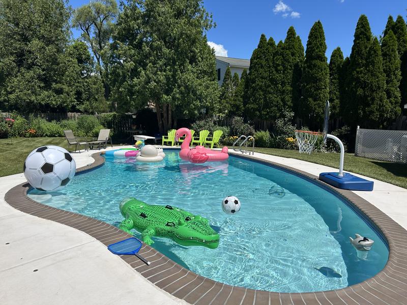 Intex Intex 57288EP Giant Inflatable 80 Inch Mega Flamingo Island Ride ...