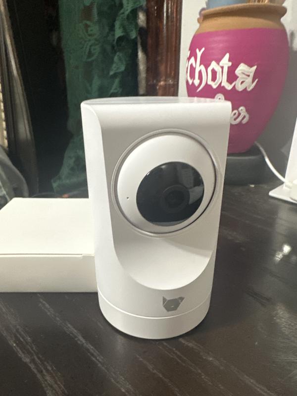 Instachew 360 HD Pet Camera with Night Vision & Easy Setup