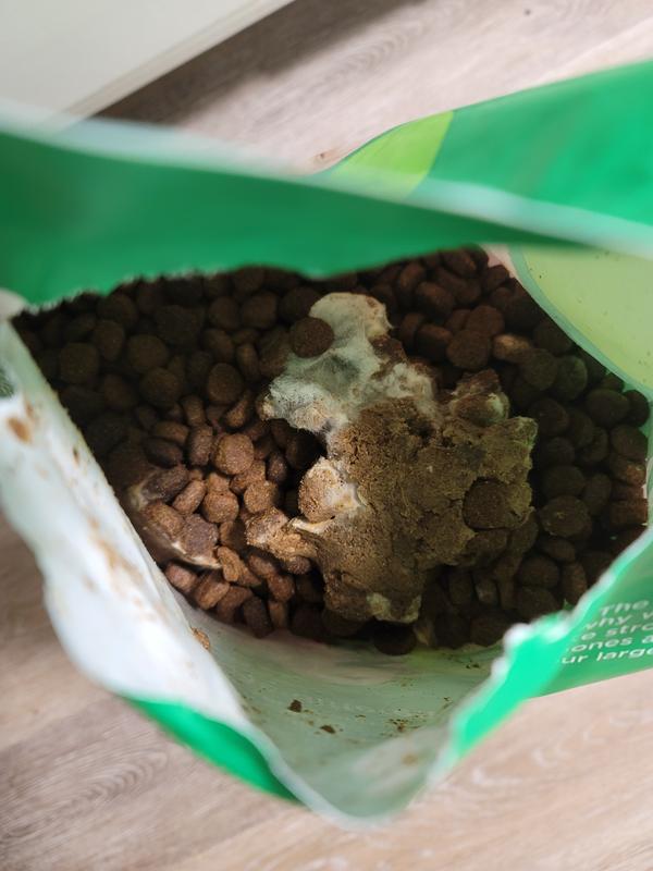 IAMS ProActive Health Large Breed Adult Dry Dog Food with Real Chicken ...