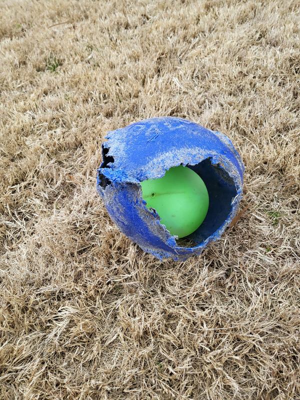 Jolly Pet Teaser Ball for Medium Dogs | Petco