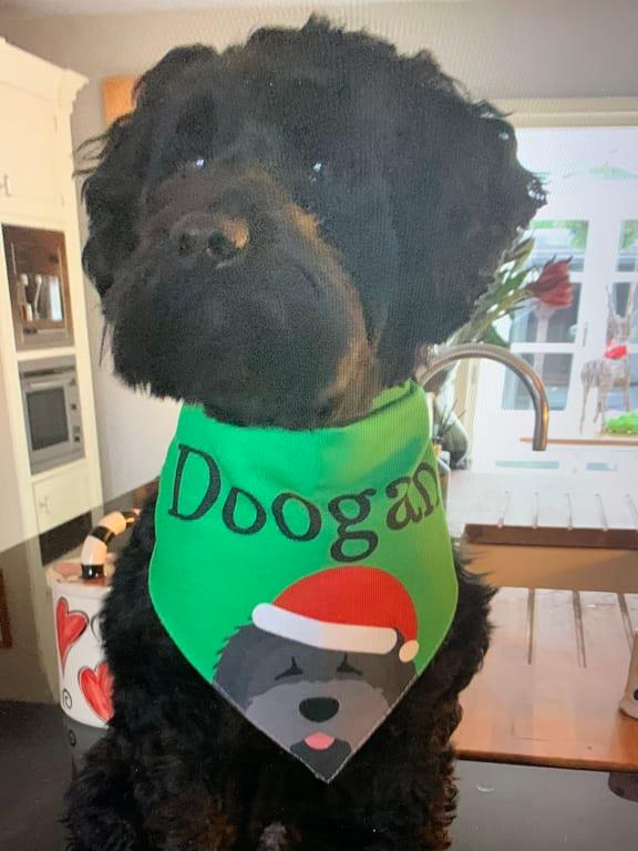 Jo Malone London Orange Bitters Liquidless Diffuser 5.6 oz ...