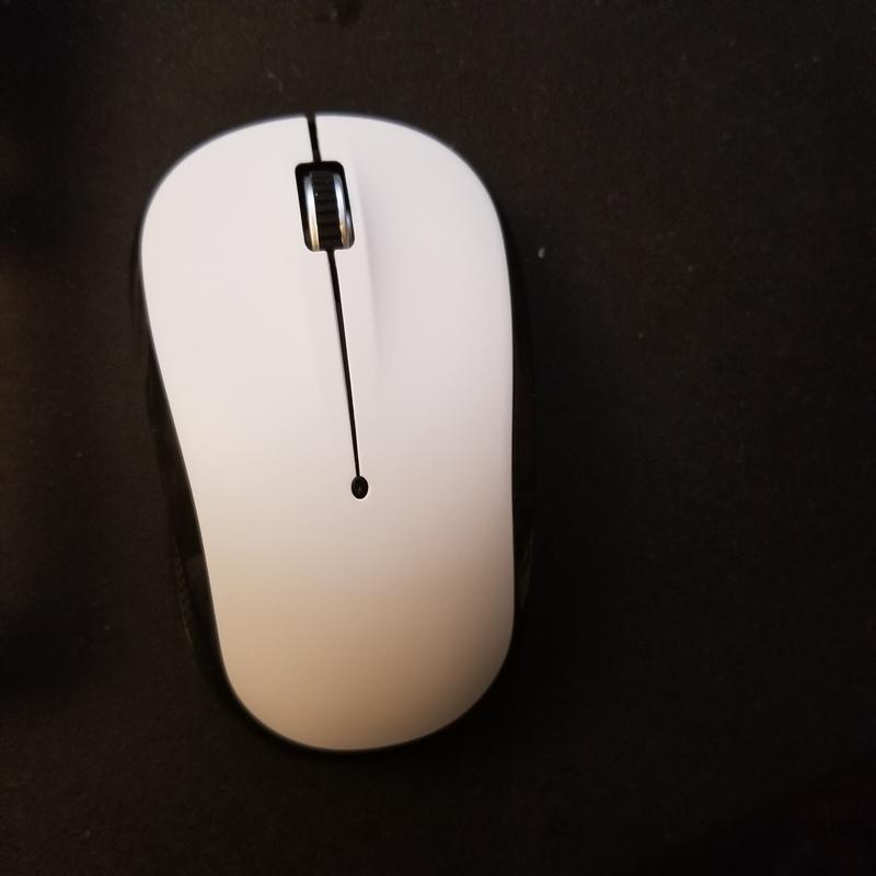 Jasco White Mini Wireless Mouse 55142 at Lowes.com