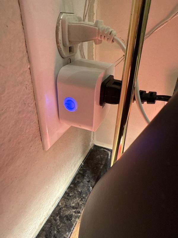 Enbrighten 125 Volts 2-Outlet Indoor Smart Plug 51253-T1 at Lowes.com