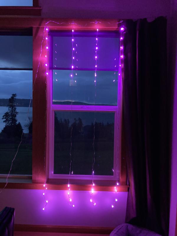 Enbrighten 3-ft Plug-in Clear Indoor String Light with 88 Color ...
