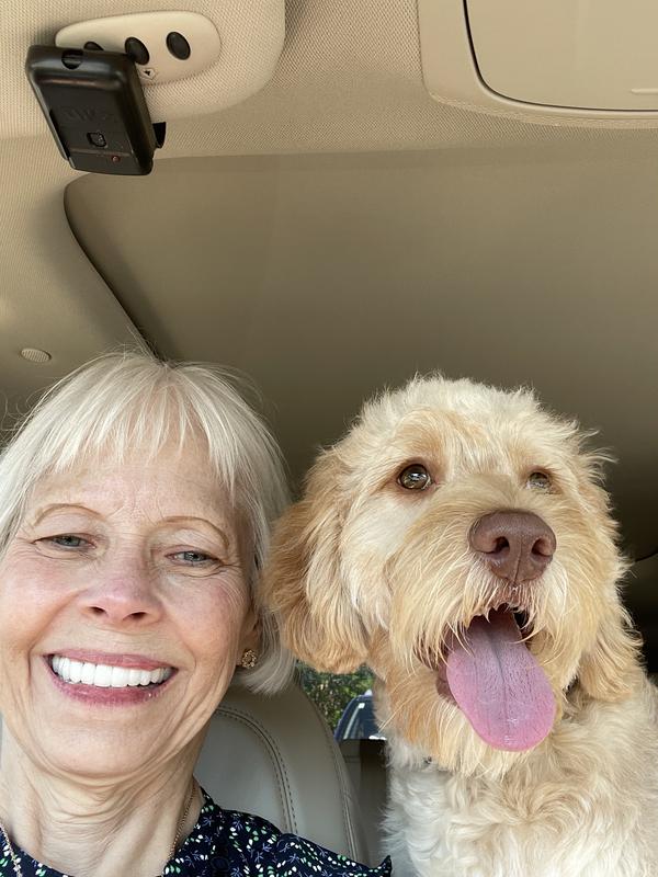 Are Duck Hearts Good For Dogs