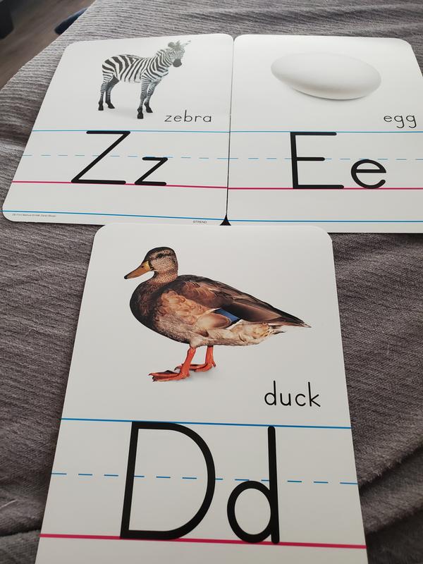 TREND Alphabet Line Bulletin Board Set Photo Alphabet Cards Zaner ...