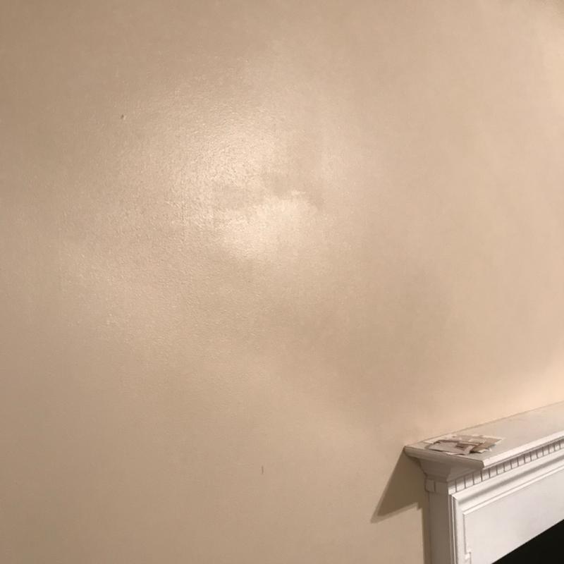 Olympic Flint Gray (Half Size Container) at Lowes.com