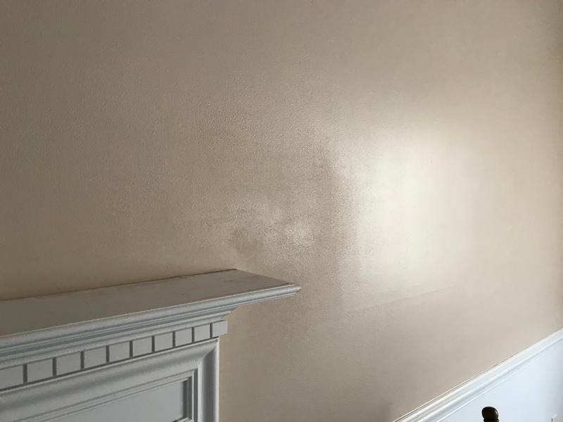 Olympic Semi-gloss ONE Pony Tail Pre-tinted Latex Interior Paint ...