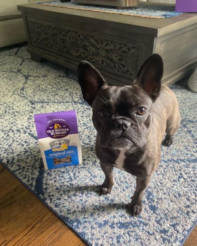 Old Mother Hubbard Old-Fashioned Assorted Dog Biscuits | Petco