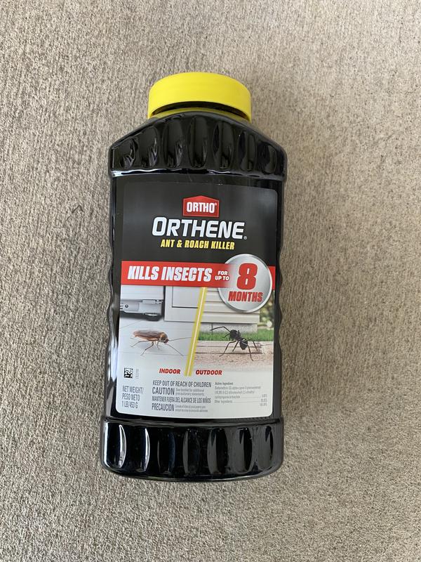 ORTHO 12-oz Orthene Roach Killer (12-Pack) 4612705 at Lowes.com
