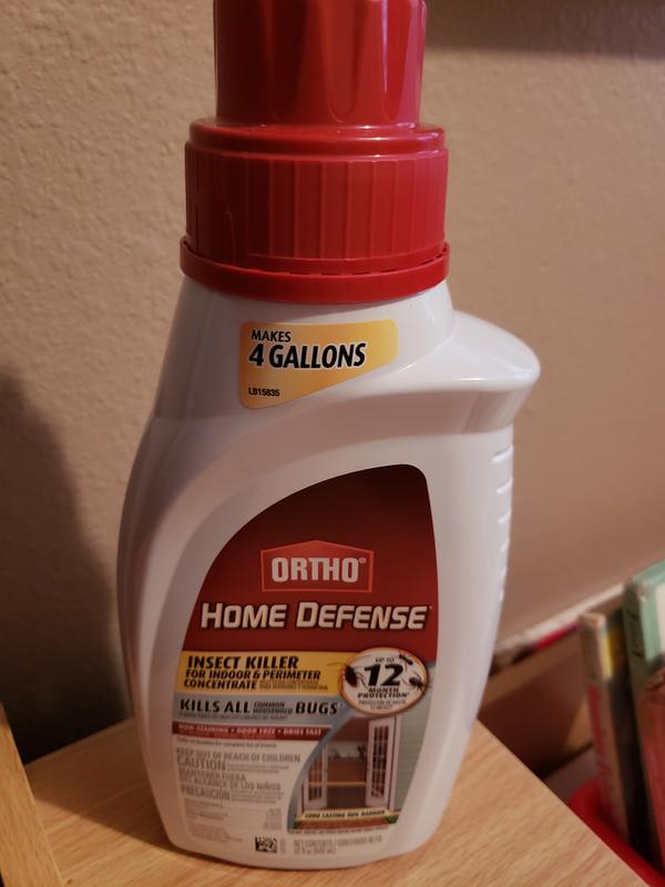 ORTHO 32-oz Home Defense for Indoor and Perimeter Concentrate Insect ...