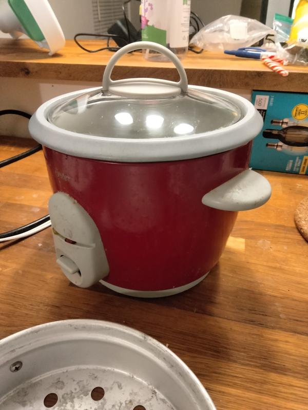 Oster 6 Cups Residential Rice Cooker at Lowes.com