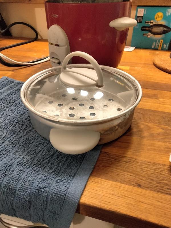 Oster 6 Cups Residential Rice Cooker at Lowes.com