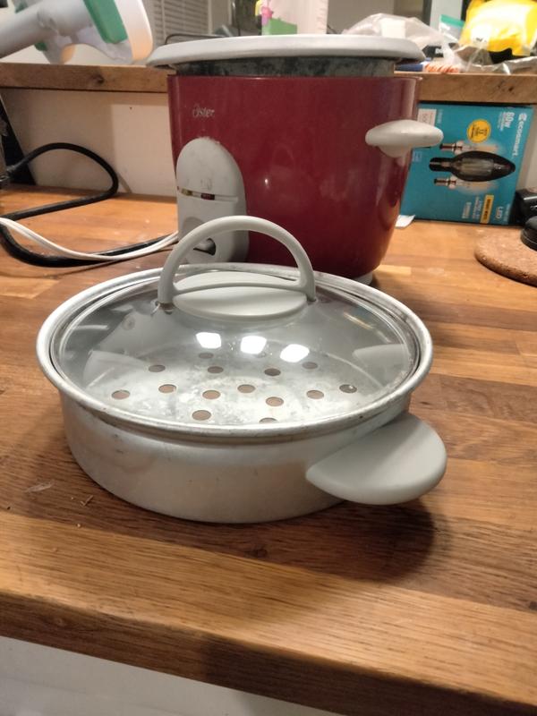 Oster 6 Cups Residential Rice Cooker at Lowes.com