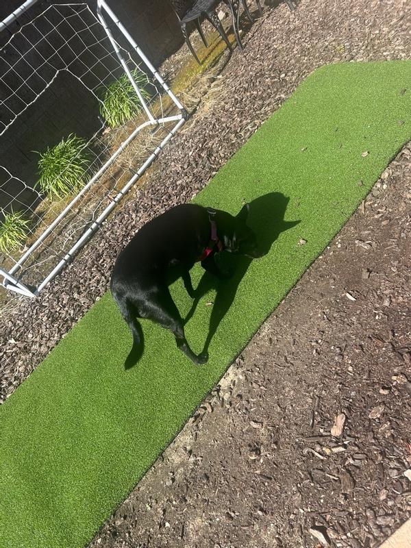 Ottomanson Putting Green Turf Rug Golf Hitting Mat 7-ft x 19-ft ...