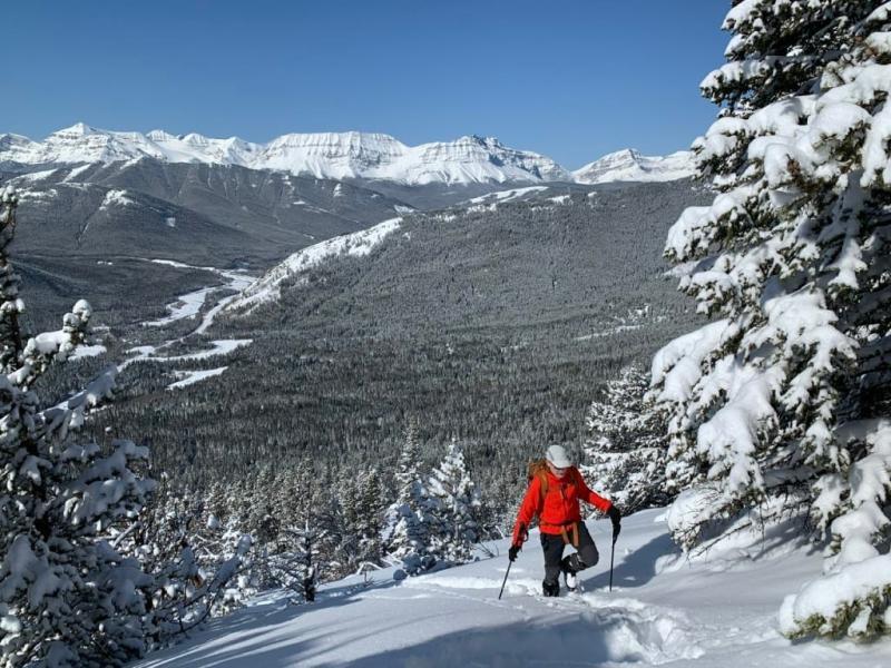 Outdoor Research Refuge Air Hooded Jacket - Men's - Clothing