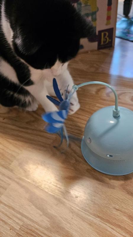 Catstages Blue 2-in-1 Electronic Flutter Dome Interactive Cat Toy and ...