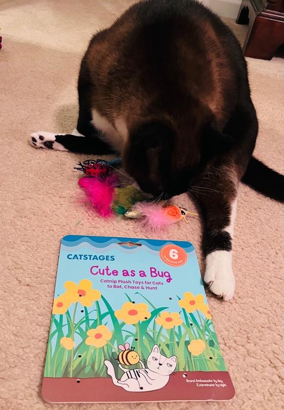 Catstages Cute As A Bug Plush Cat Toys, Pack of 6 | Petco