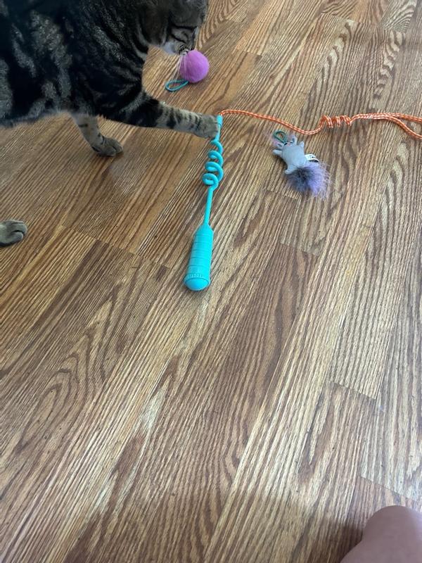 Catstages Cat-apult Spring Wand Teaser Wand Toy for Cats | Petco