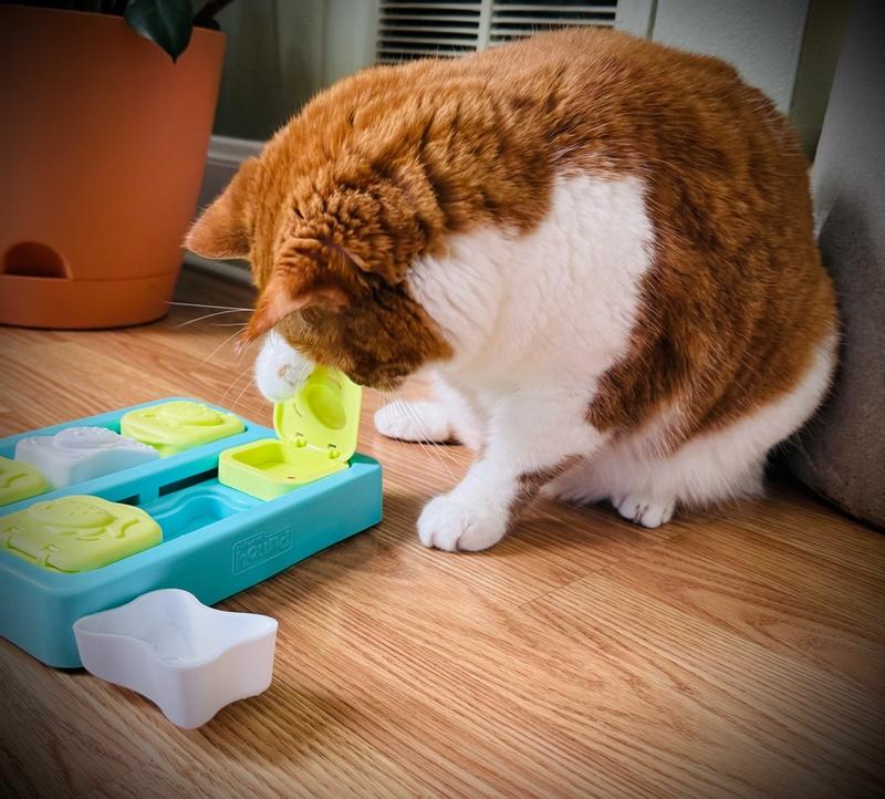 Catstages Kitty Cube Puzzle Toy for Cats | Petco