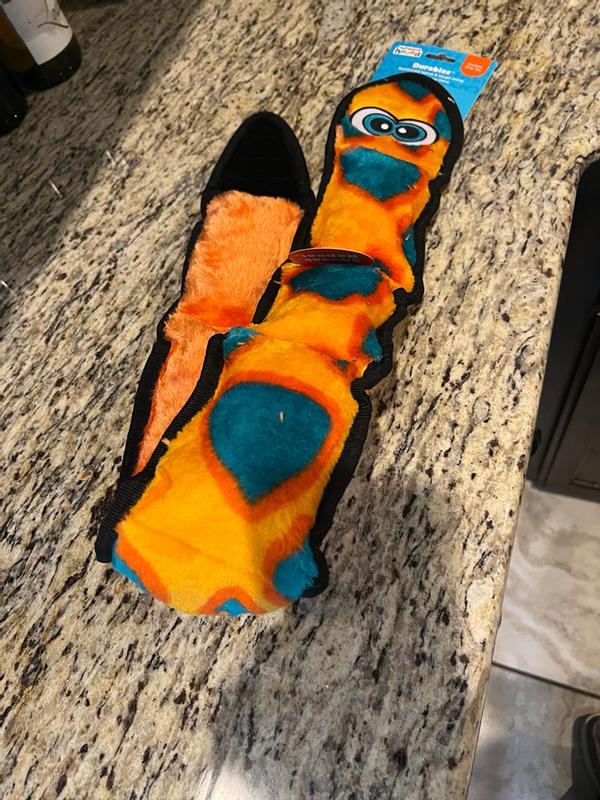 Outward Hound Invincibles Snake Dog Toy at Tractor Supply Co