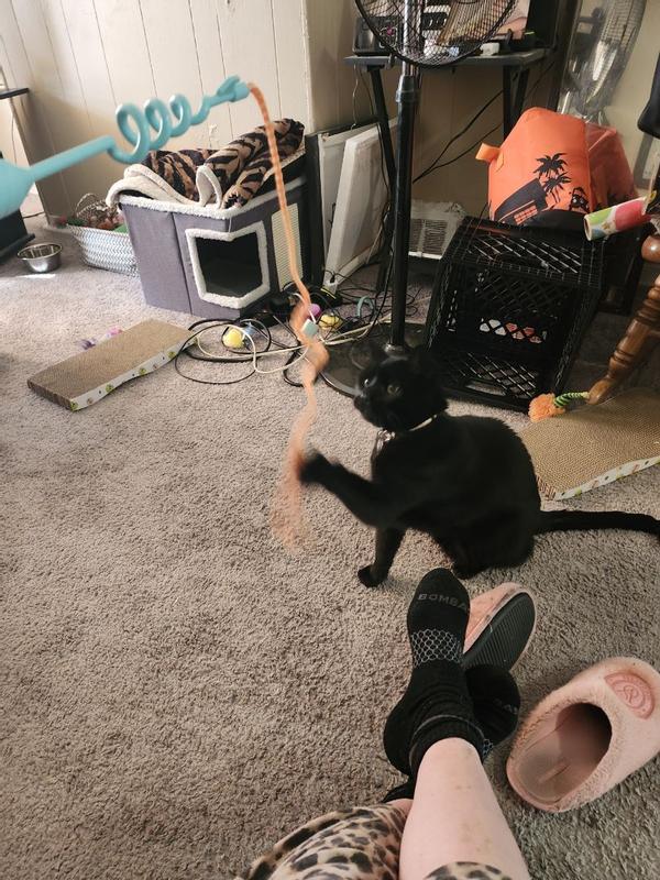 Catstages Cat-apult Spring Wand Teaser Wand Toy for Cats | Petco