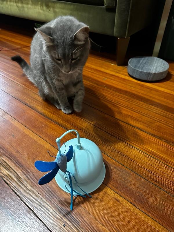 Catstages Blue 2-in-1 Electronic Flutter Dome Interactive Cat Toy and ...