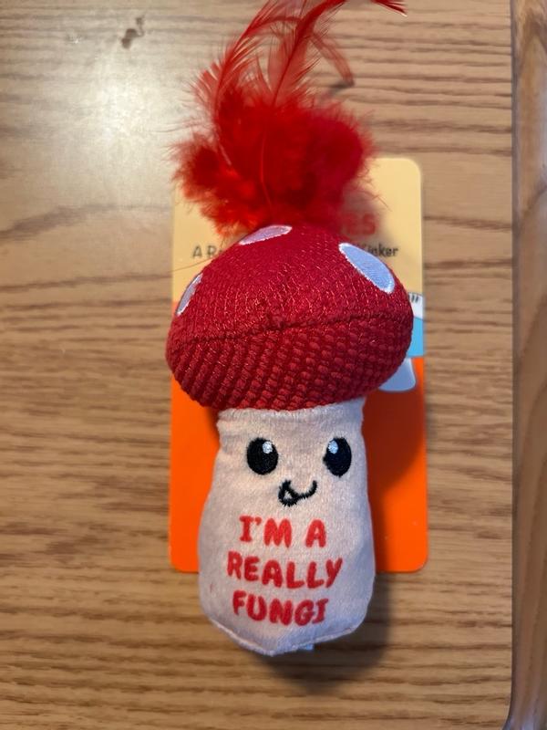 Catstages A Really Fungi Mushroom Kicker Catnip & Dental Toy | Petco