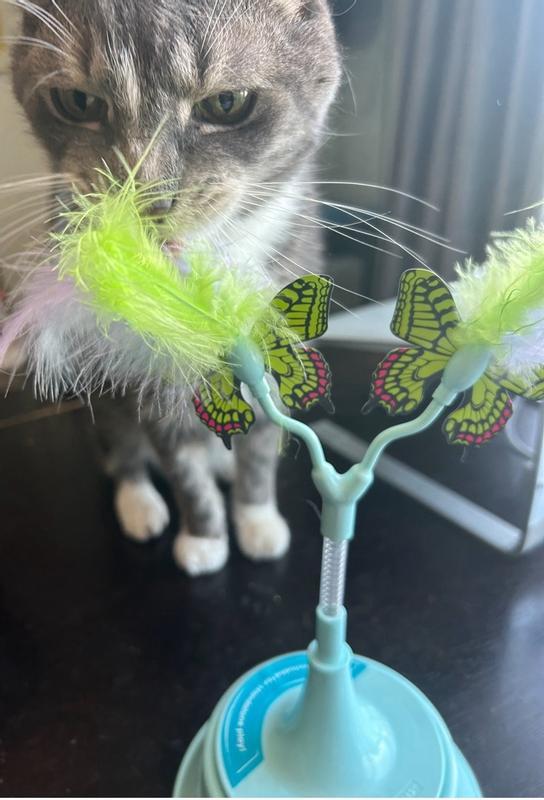 Catstages 2-in-1 Flutter Toy Cat Toy and Ball Track Topper | Petco