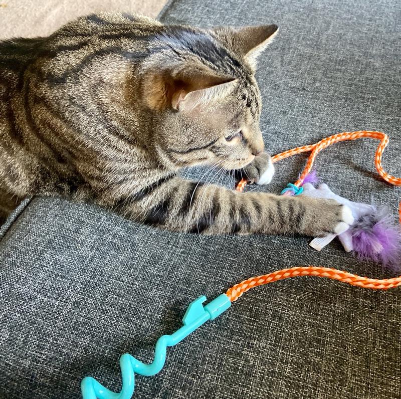 Catstages Cat-apult Spring Wand Teaser Wand Toy for Cats | Petco