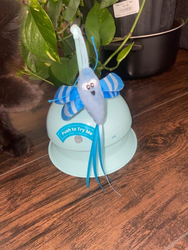 Catstages Blue 2-in-1 Electronic Flutter Dome Interactive Cat Toy and ...