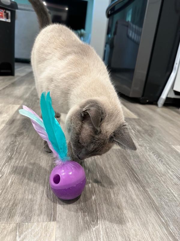 Catstages Wobble N' Treat Toy Treat Stuffer Cat Toy | Petco
