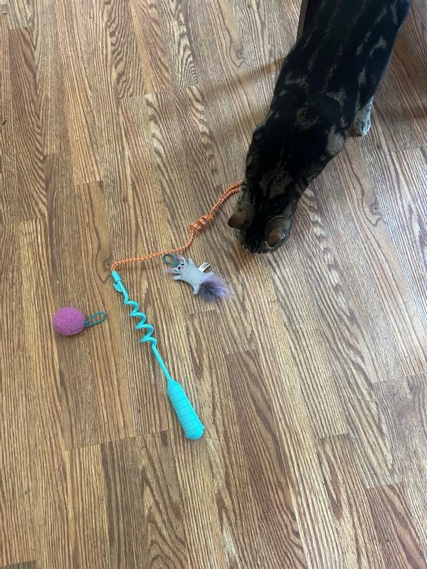 Catstages Cat-apult Spring Wand Teaser Wand Toy for Cats | Petco