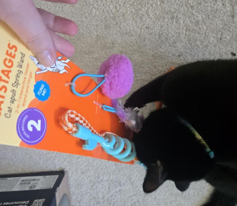 Catstages Cat-apult Spring Wand Teaser Wand Toy for Cats | Petco