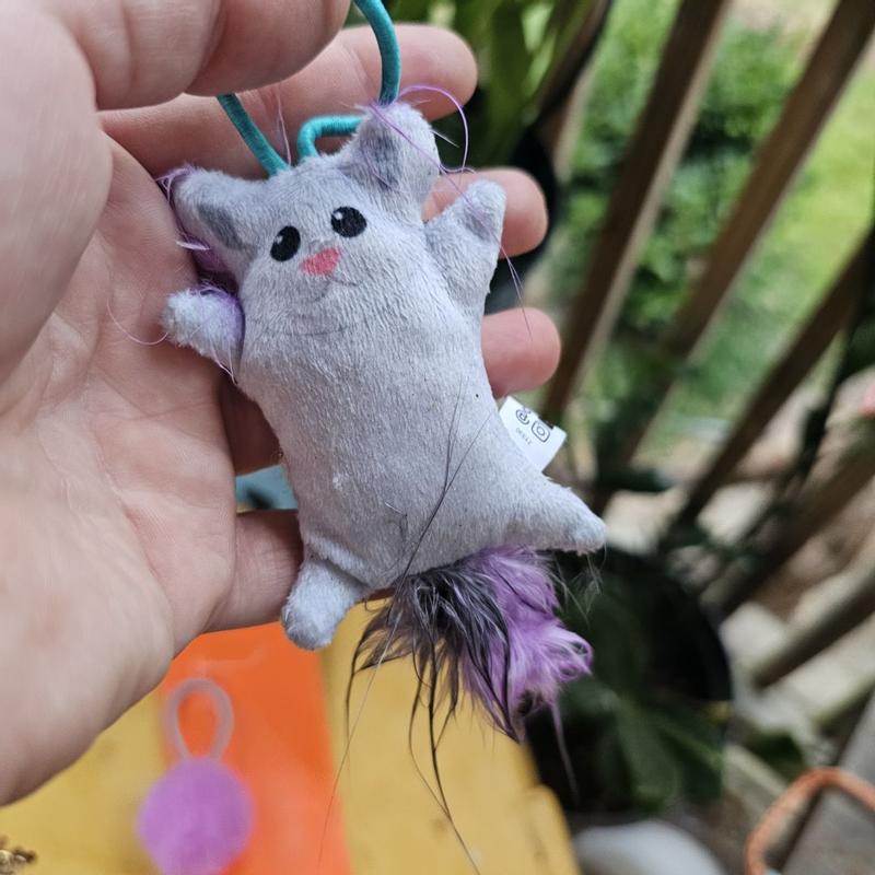 Catstages Cat-apult Spring Wand Teaser Wand Toy for Cats | Petco