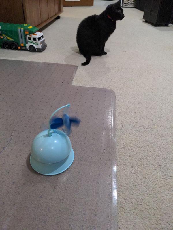 Catstages Blue 2-in-1 Electronic Flutter Dome Interactive Cat Toy and ...