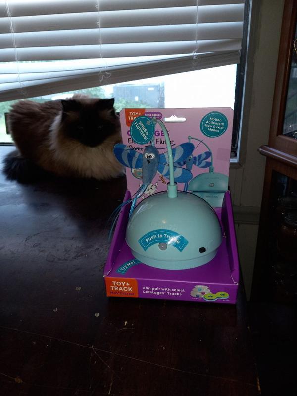 Catstages Blue 2-in-1 Electronic Flutter Dome Interactive Cat Toy and ...